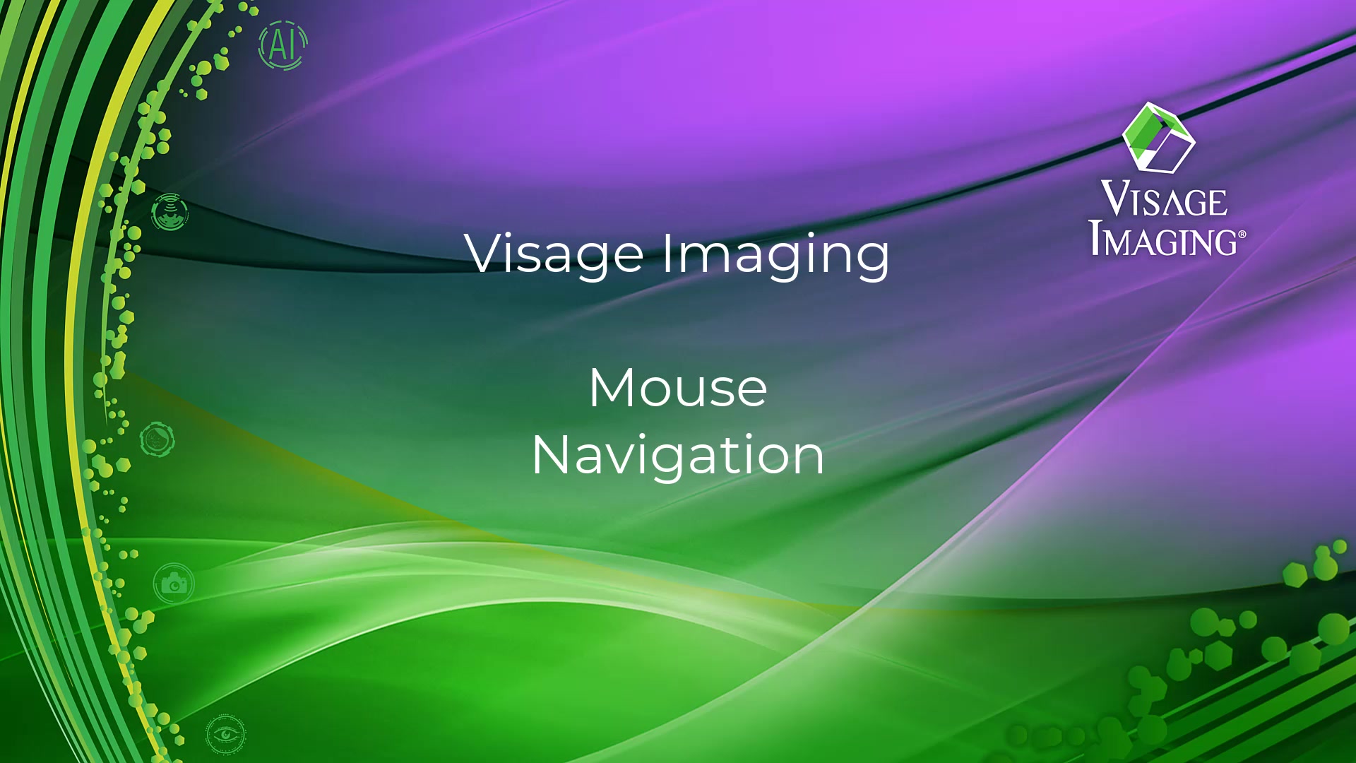 Mouse Navigation in Visage
